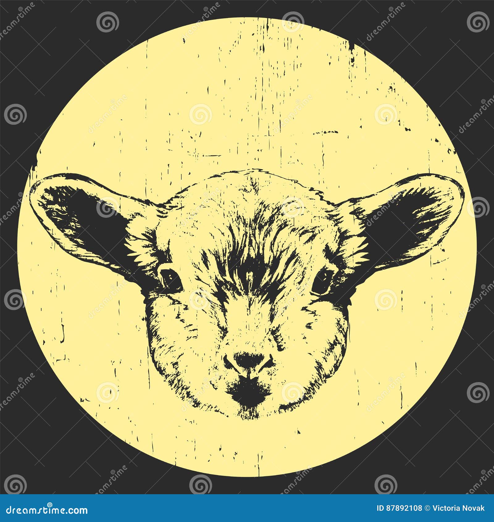 Portrait of Lamb. stock vector. Illustration of sketchy - 87892108