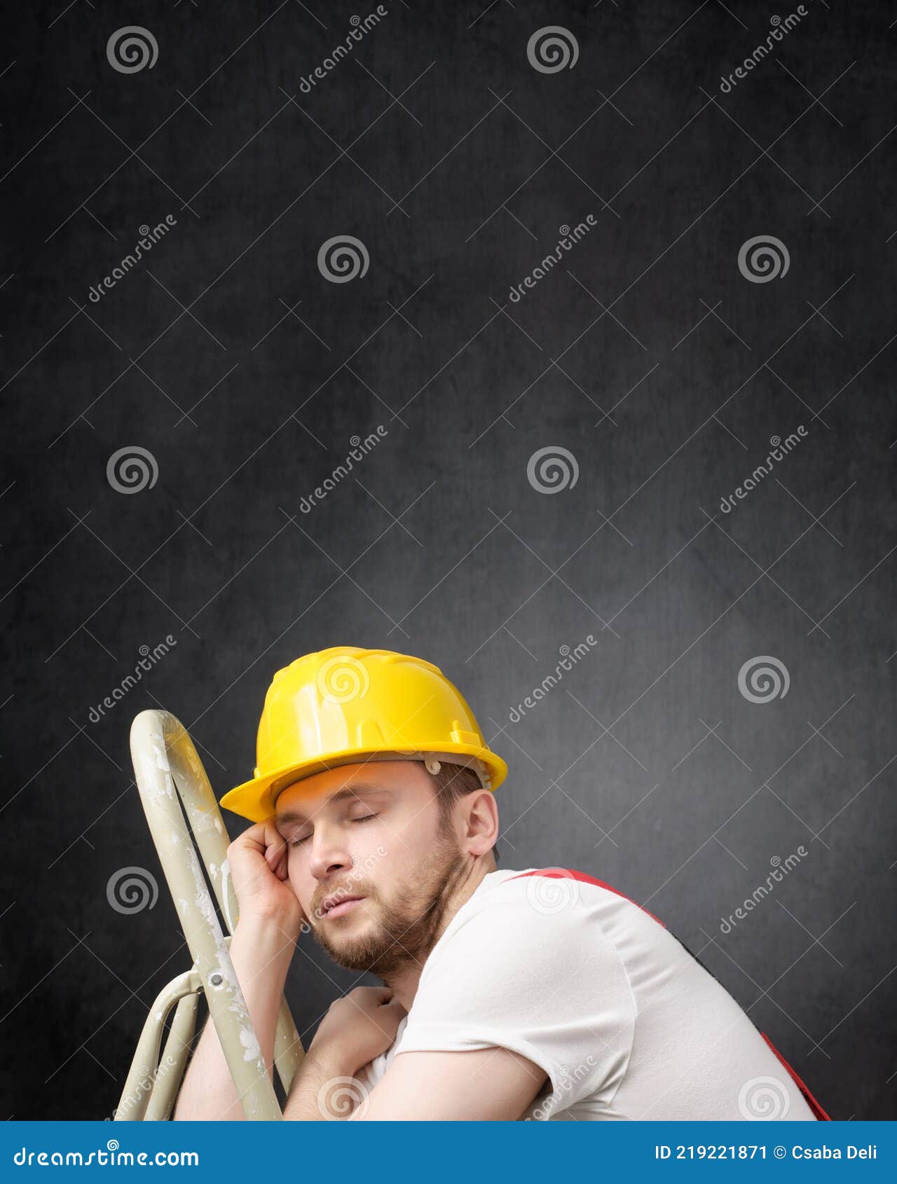Portrait of a Lazy Worker with Ladder Stock Image - Image of lazy ...