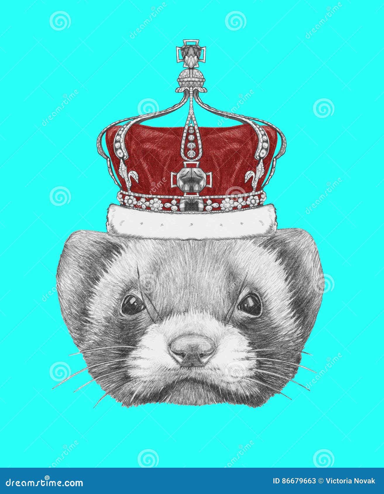 Portrait of Least Weasel with Crown. Stock Illustration - Illustration ...