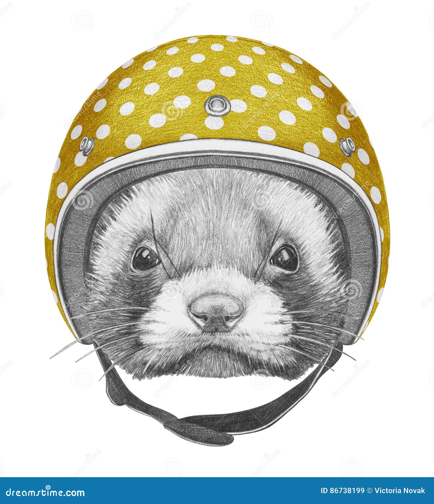 Portrait of Least Weasel with Helmet. Stock Illustration - Illustration ...