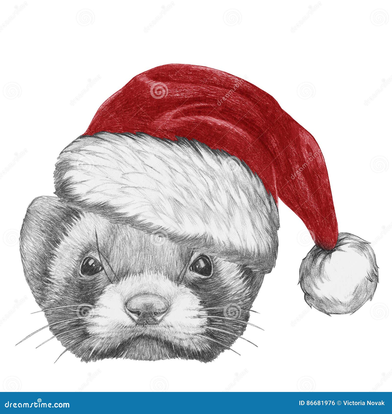 Portrait of Least Weasel with Santa Hat. Stock Illustration ...