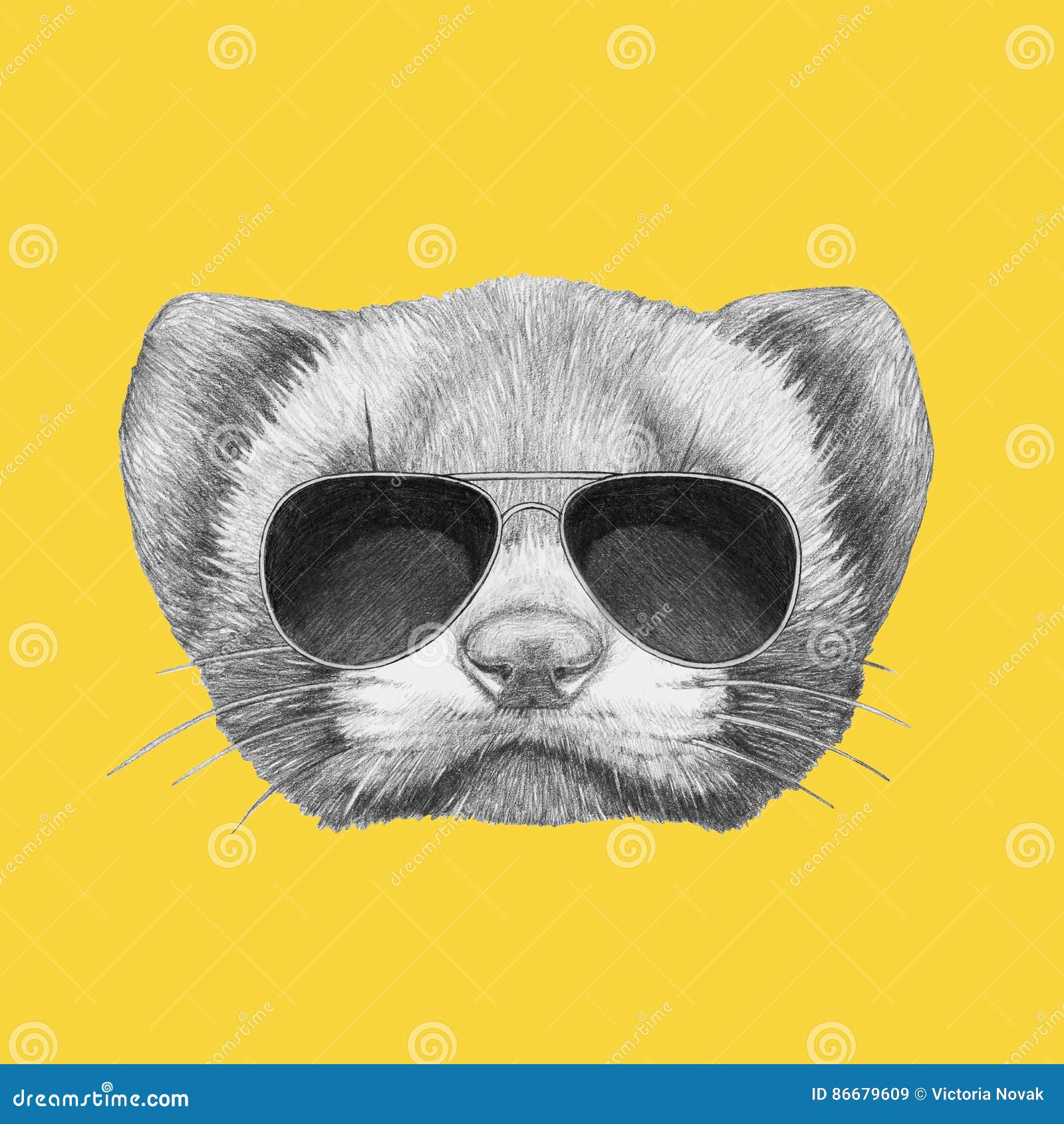 Portrait of Least Weasel with Sunglasses. Stock Illustration ...