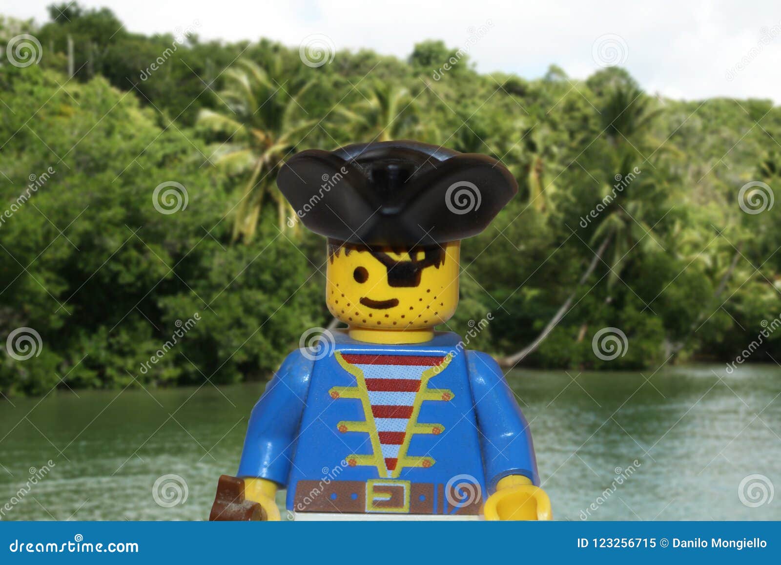 Lego Pirate And Duck Editorial Photo | CartoonDealer.com #138770131