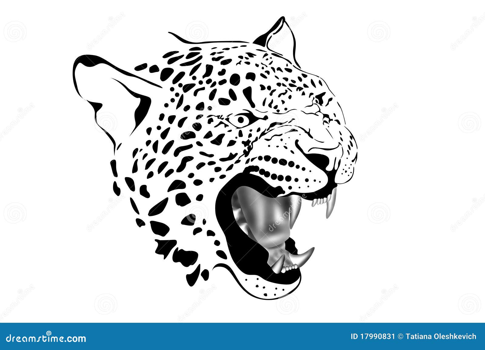 Portrait of Leopard in Black and White Stock Illustration ...