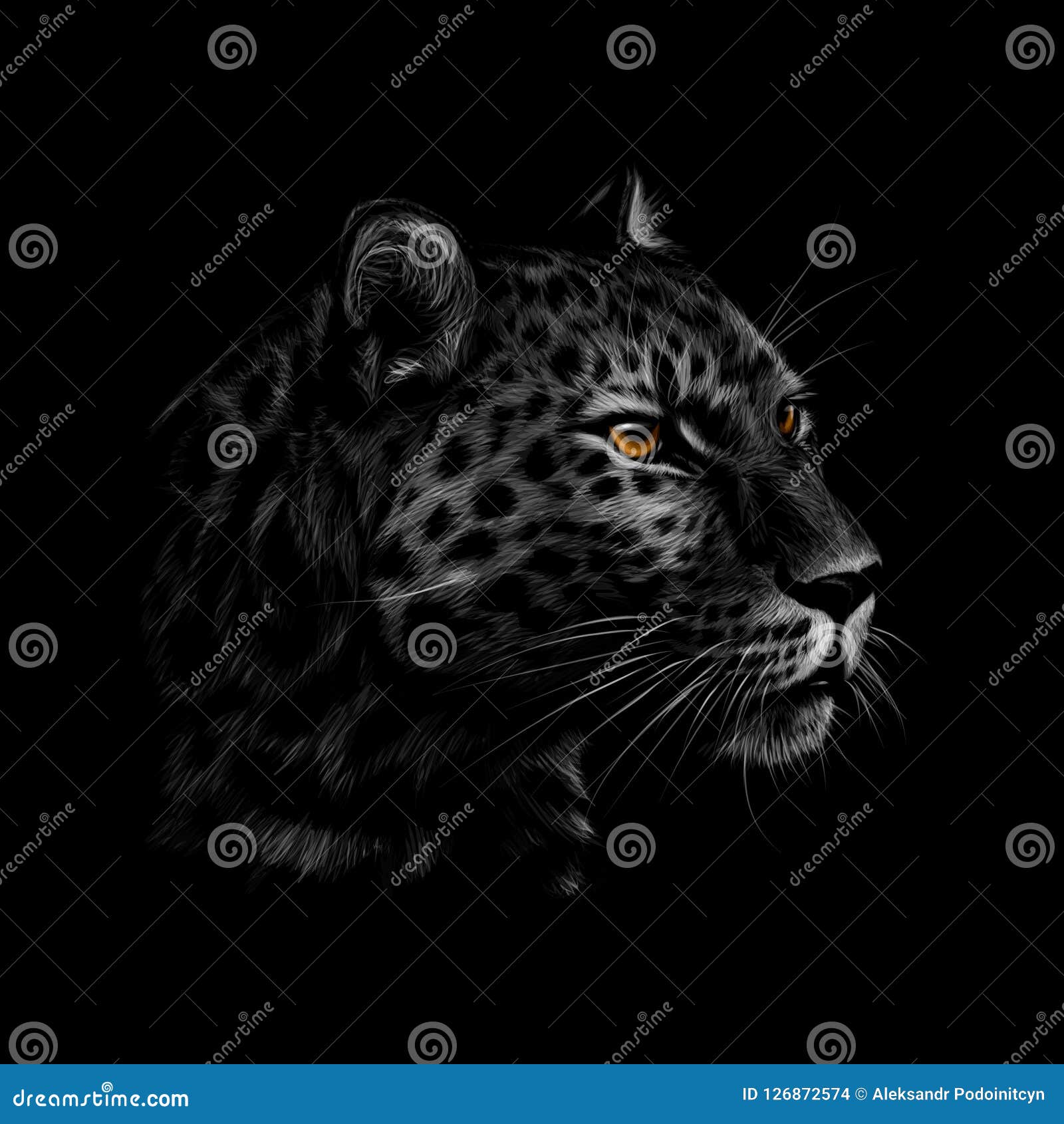 Portrait of a Leopard Head on a Black Background. Stock Vector ...