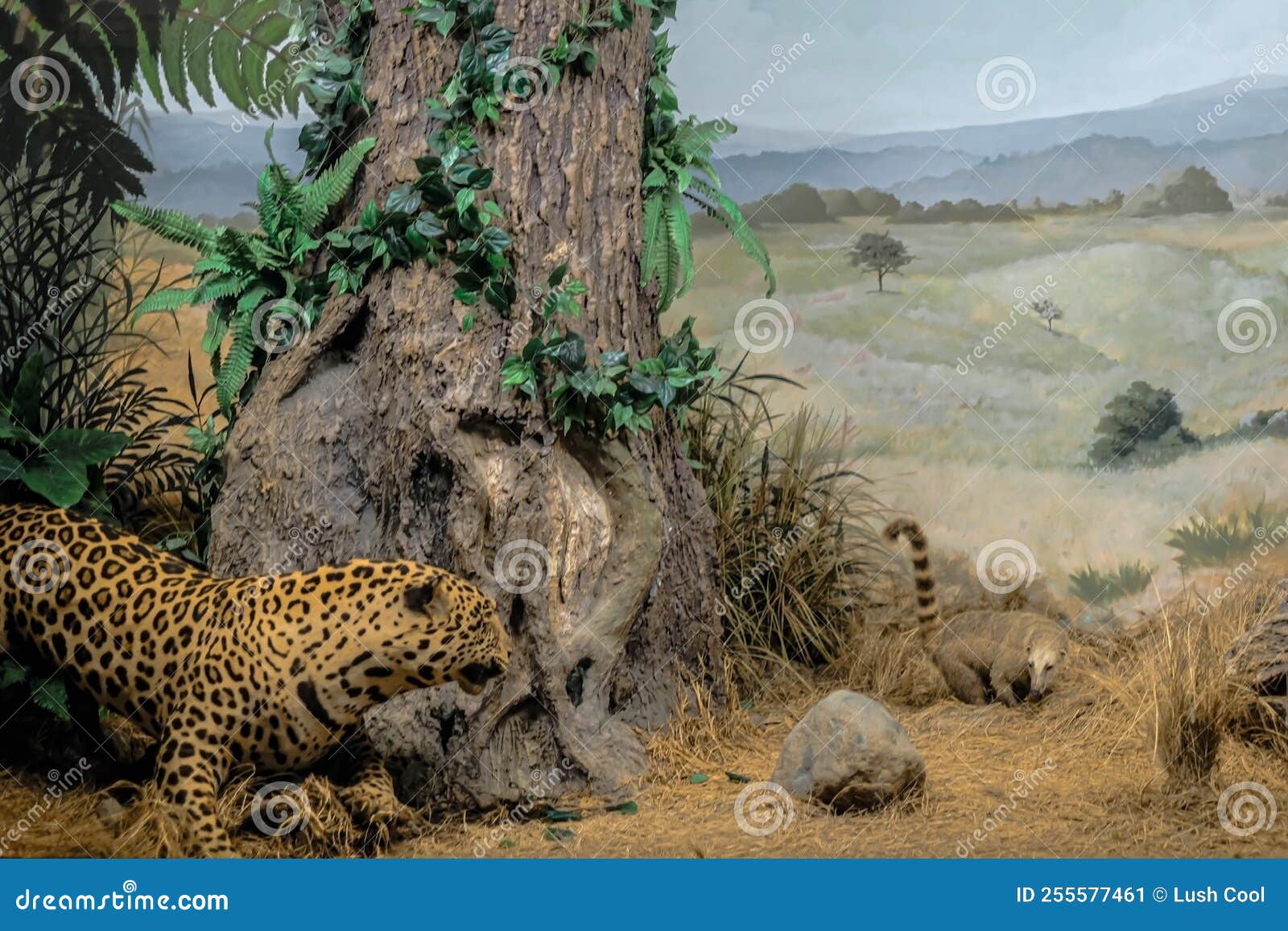 Portrait of a Leopard Stalking Its Target Editorial Photo - Image of ...