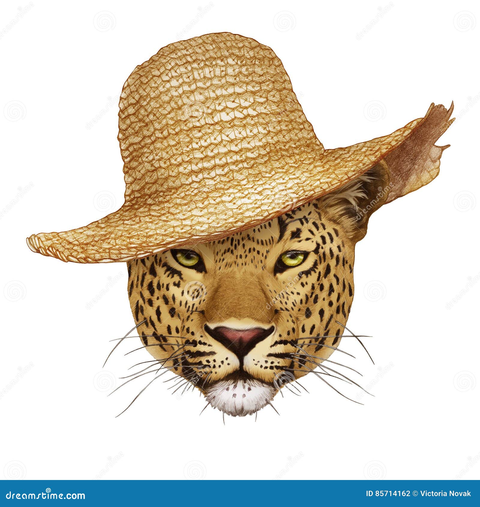 Portrait of Leopard with Straw Hat. Stock Illustration - Illustration ...