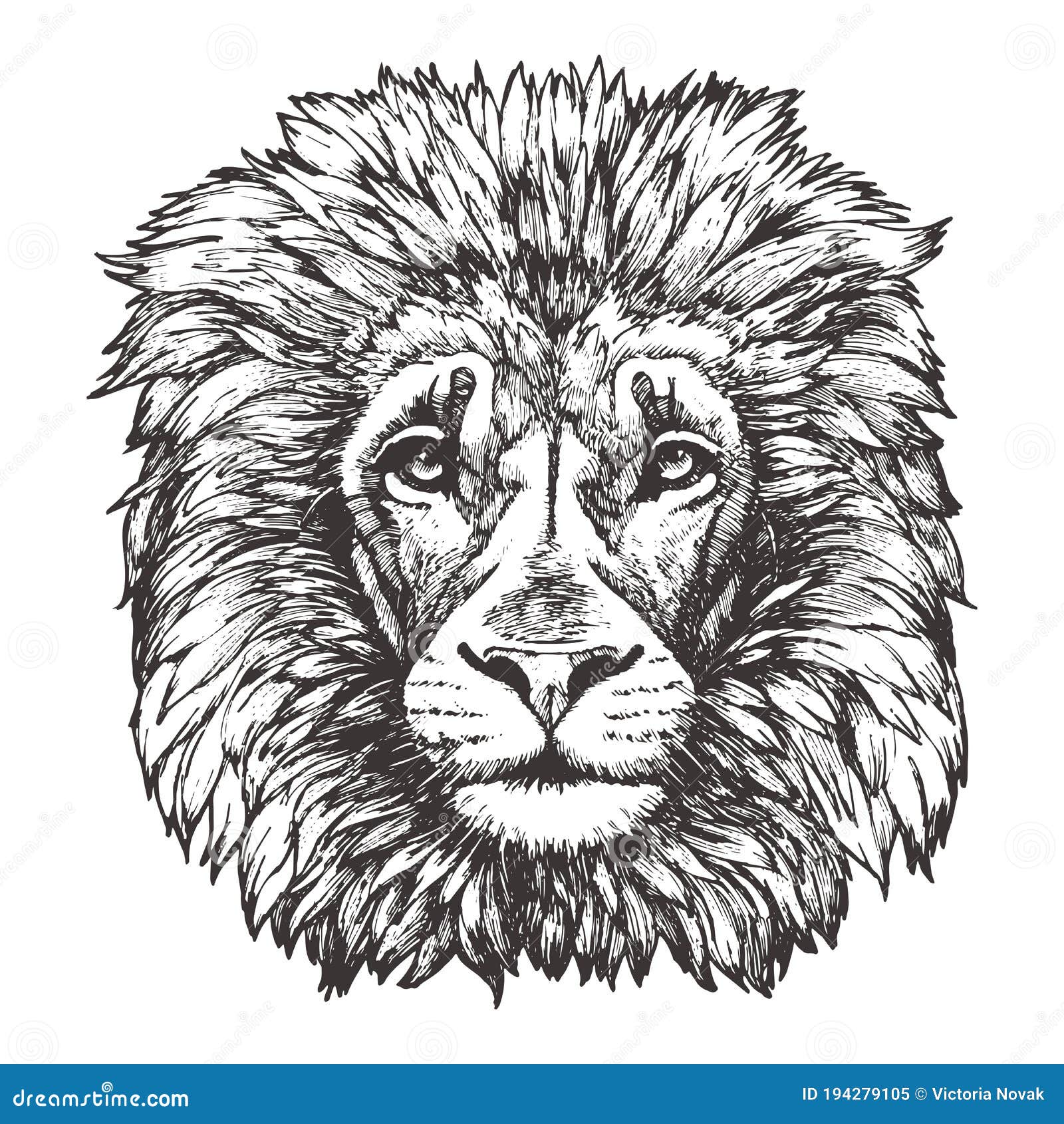Portrait of Lion. Hand-drawn Illustration. Vector Stock Vector ...