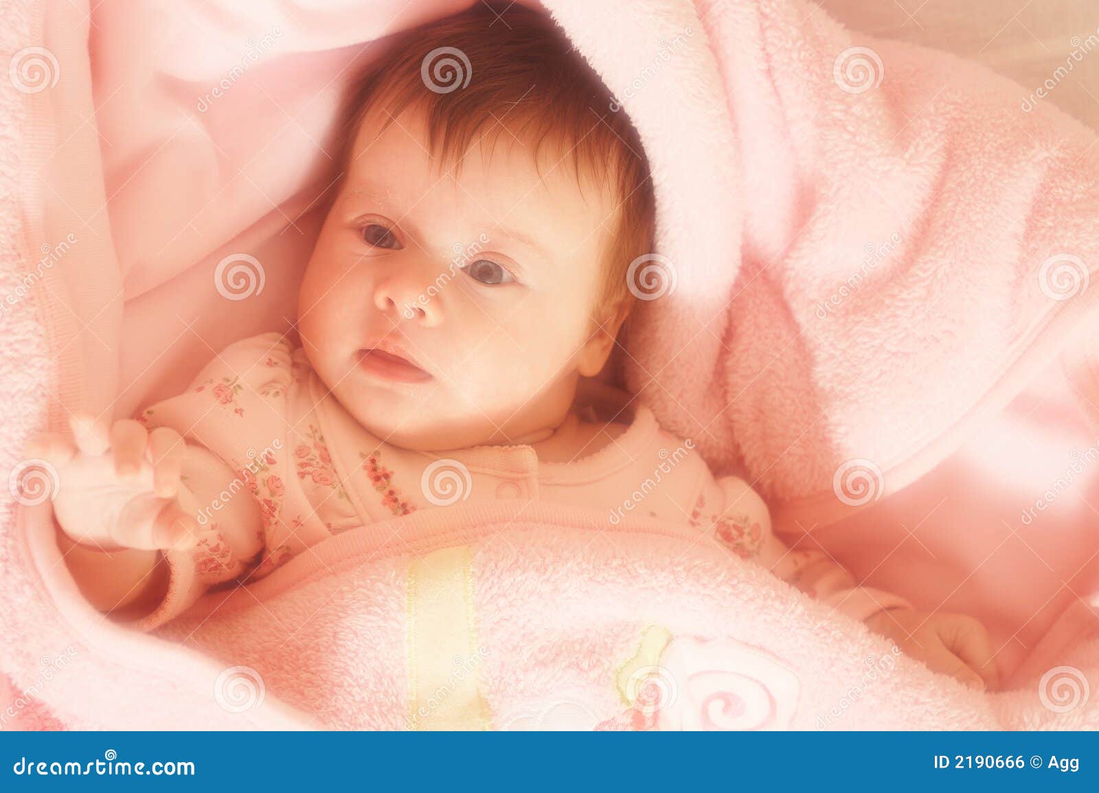 Portrait of little baby stock photo. Image of soft, face - 2190666