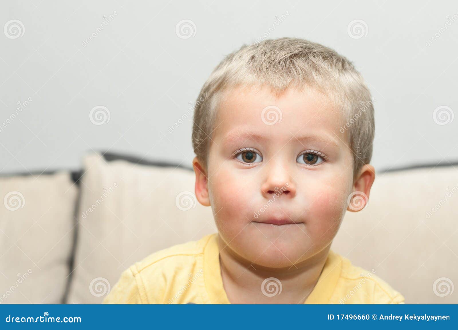 Portrait of little boy stock photo. Image of cheerful - 17496660