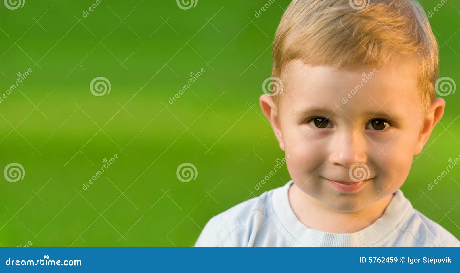 Portrait of Little Boy on Green Grass Field Stock Image - Image of ...
