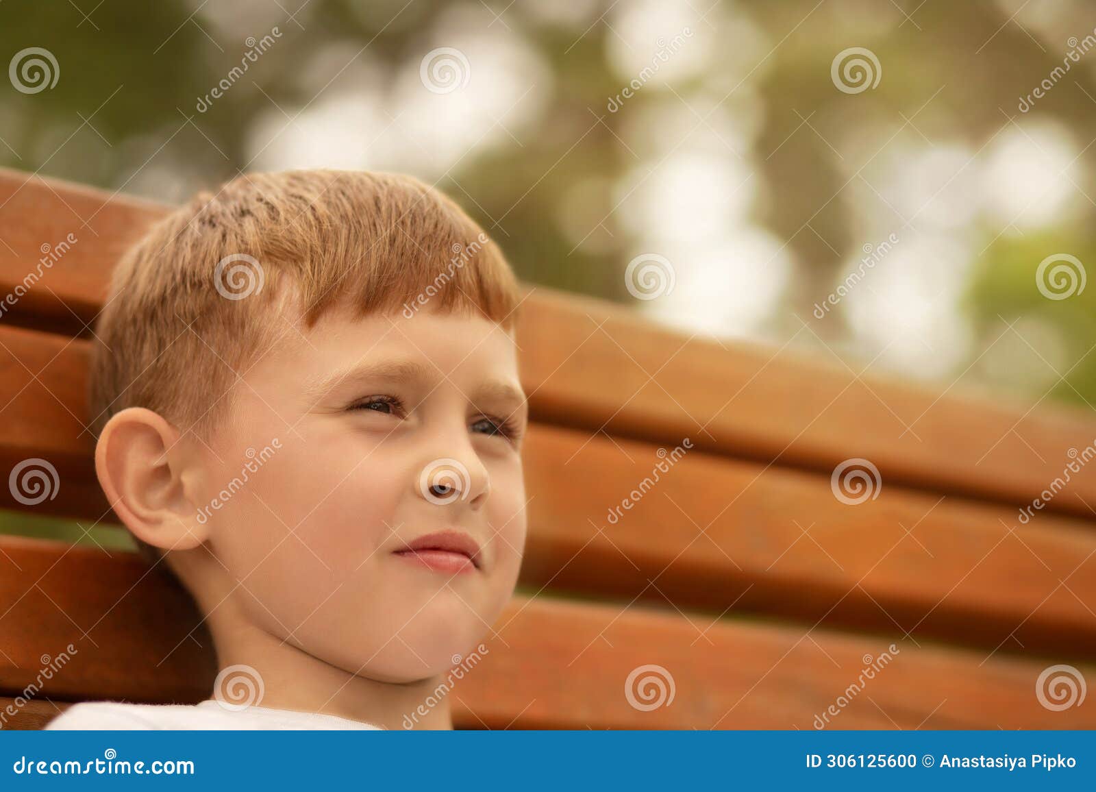 Portrait of a Boy Sitting on a Bench in the Park Stock Photo - Image of ...