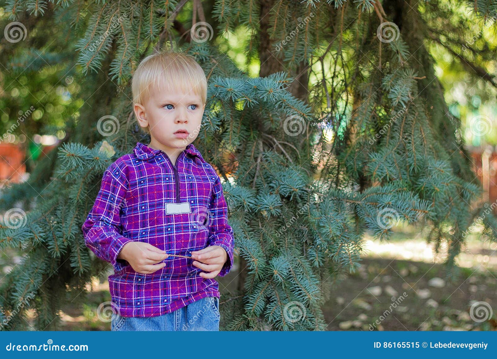 Portrait of a Little Boy and Trees Stock Image - Image of children ...