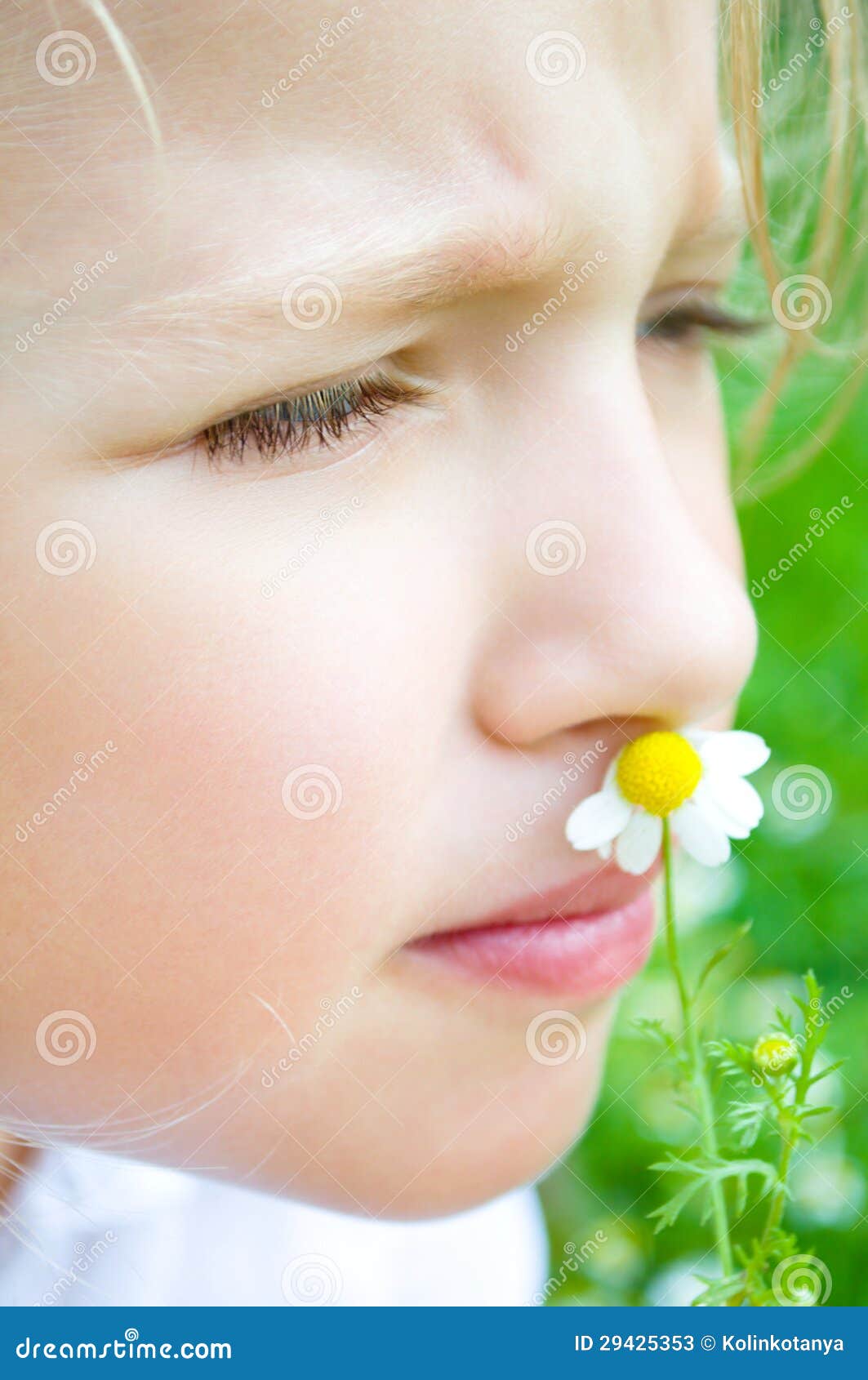 Portrait of a Little Girl with Daisy Stock Image - Image of healthy ...