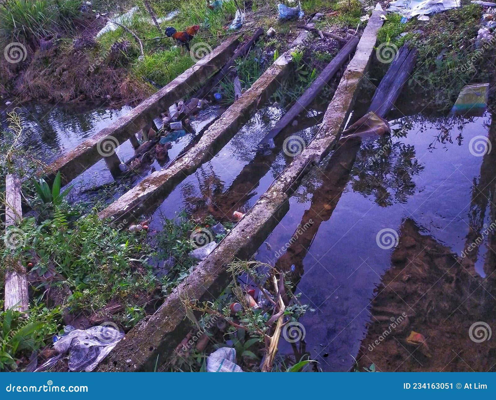 Portrait of a Long-damaged Bridge Lying Over a Flowing Ditch Stock ...