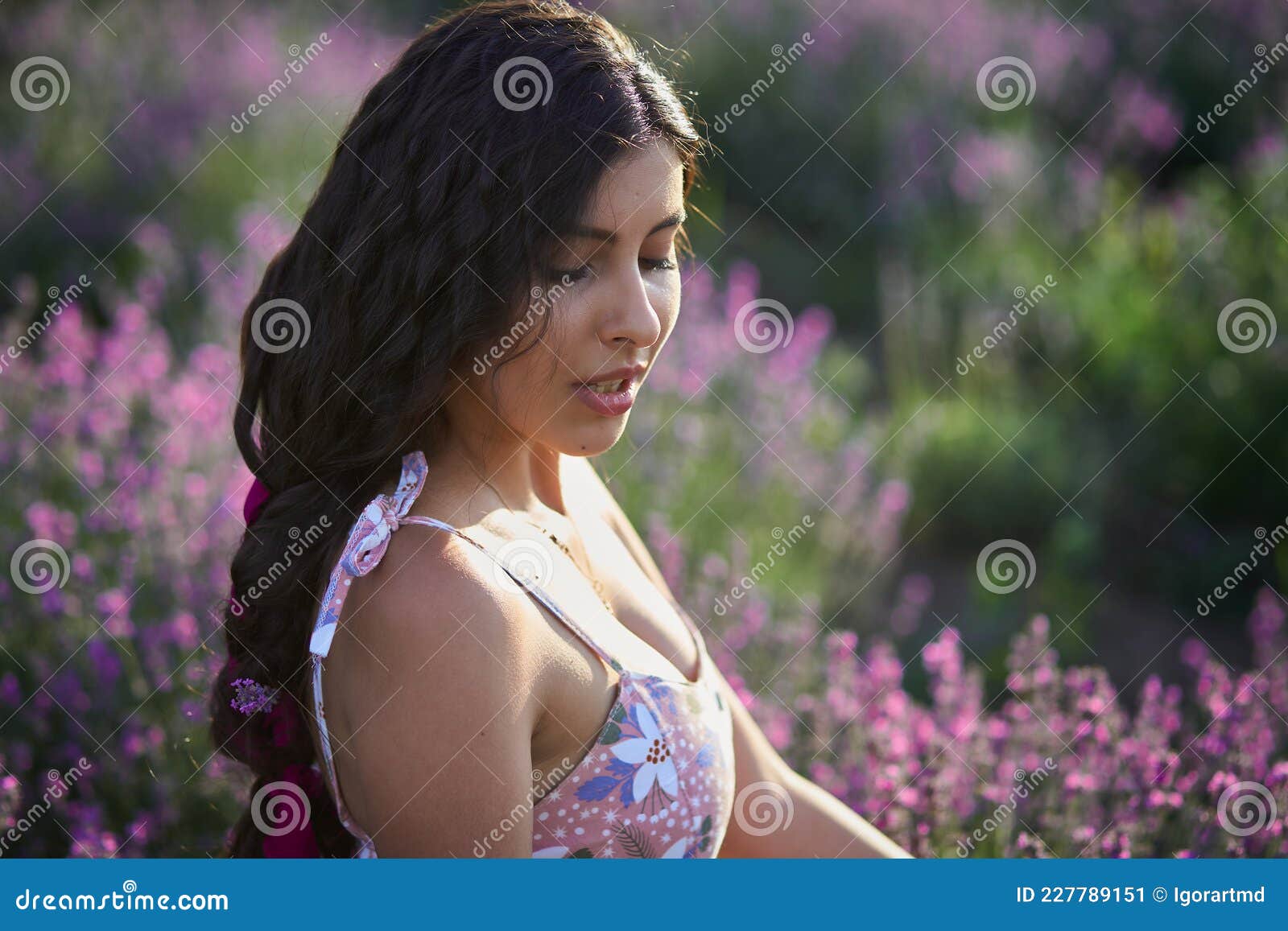 Portrait Of Lovely Brunette Girl On Lavender Field Stock Image Image