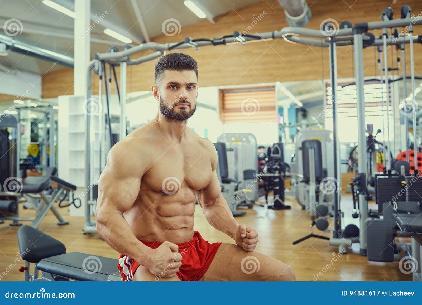 Portrait of a Male Bodybuilder in Gym Stock Image - Image of people ...