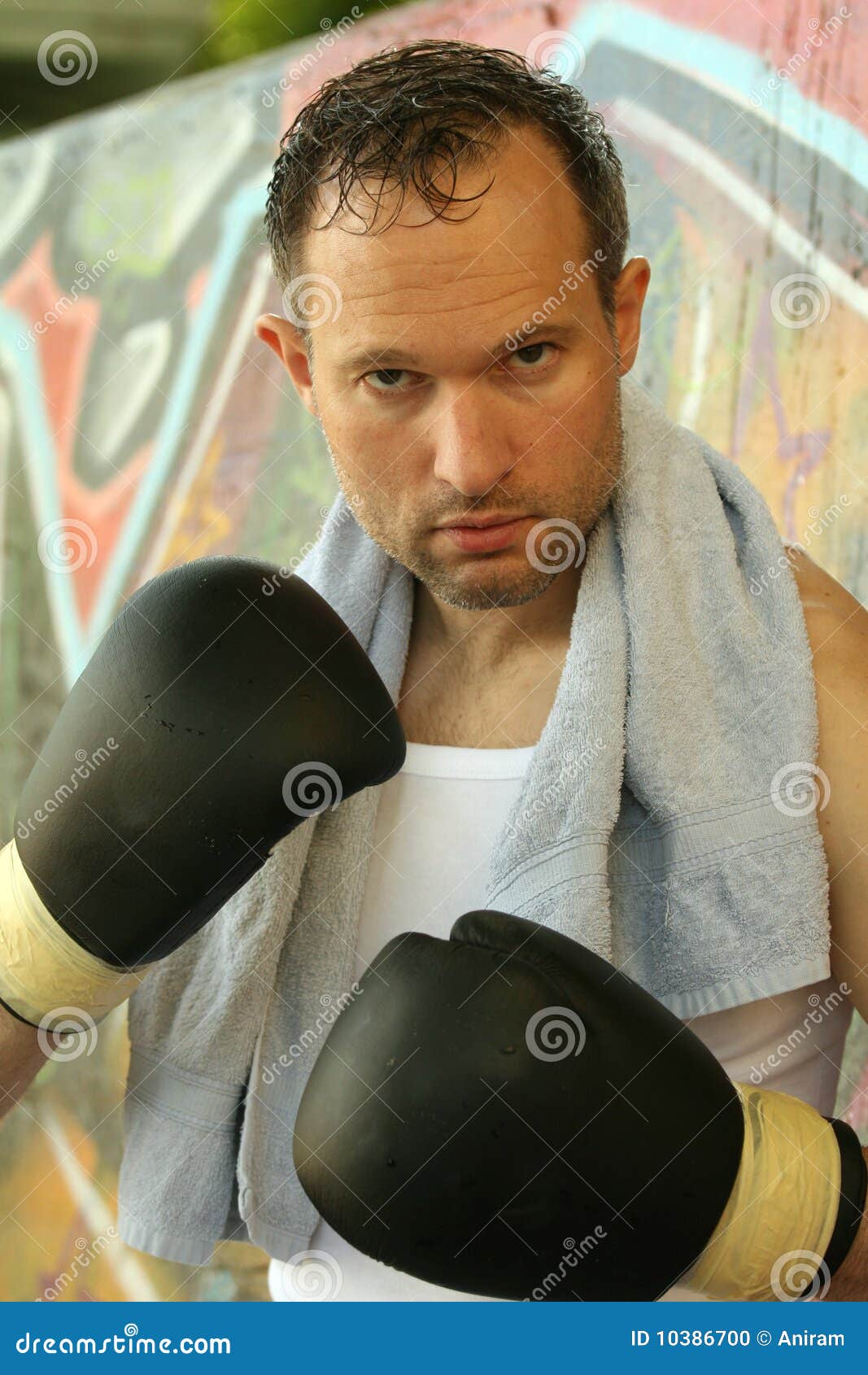 Portrait of male boxer stock photo. Image of fitness - 10386700