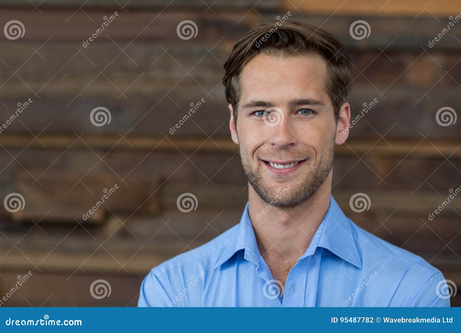 Portrait of Male Business Executive Stock Photo - Image of standing ...