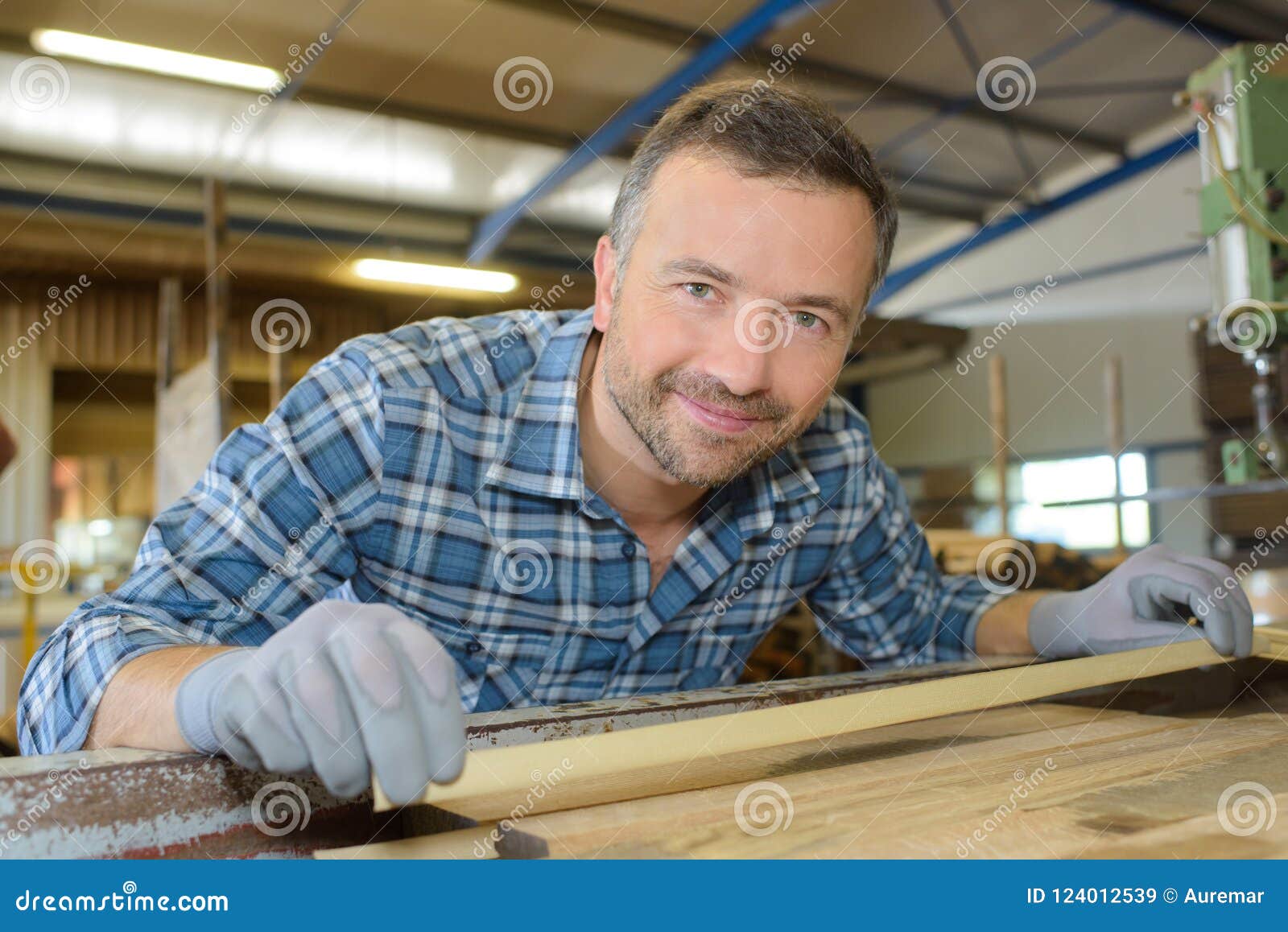 Portrait of male carpenter stock image. Image of worker - 124012539