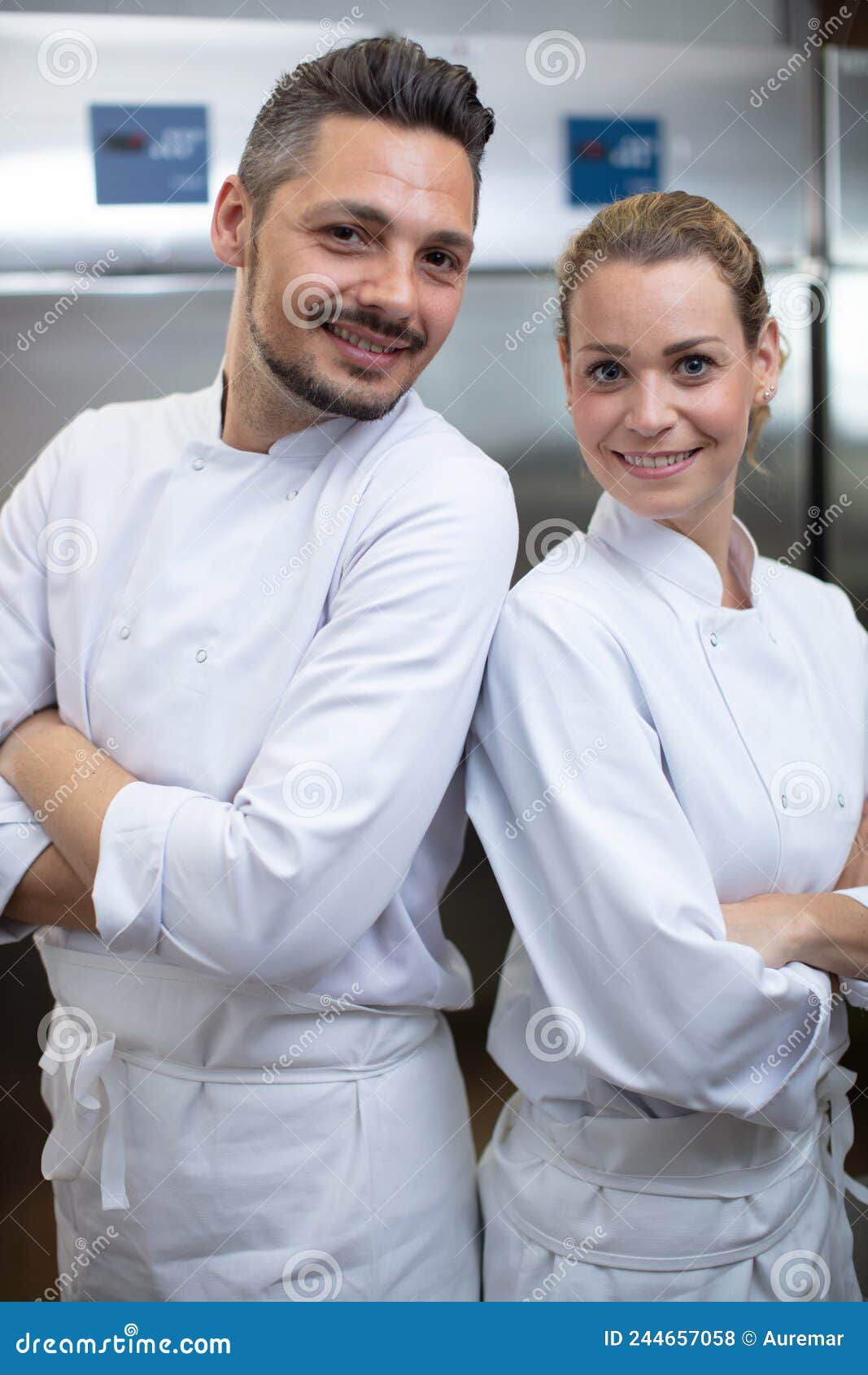 Portrait Male and Female Chefs Stood Side by Side Stock Photo - Image ...