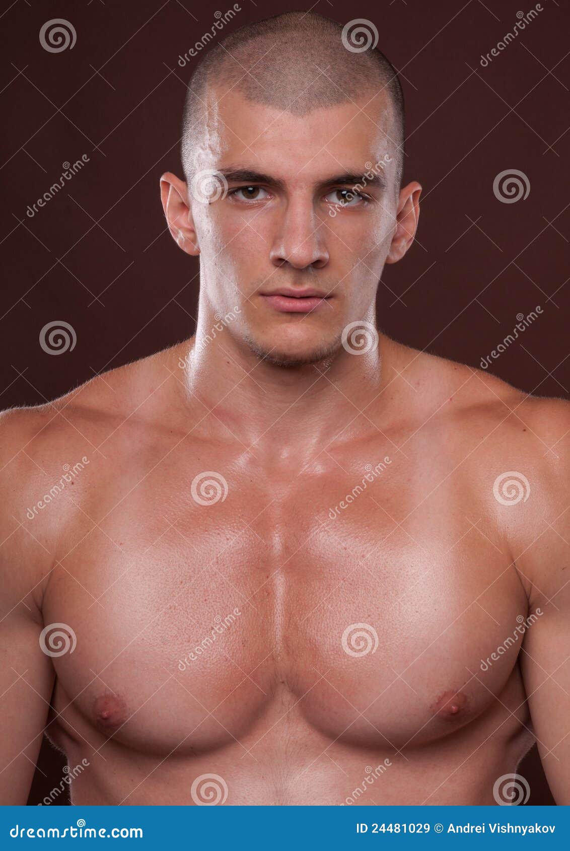 Portrait of male model stock image. Image of cool, pose - 24481029