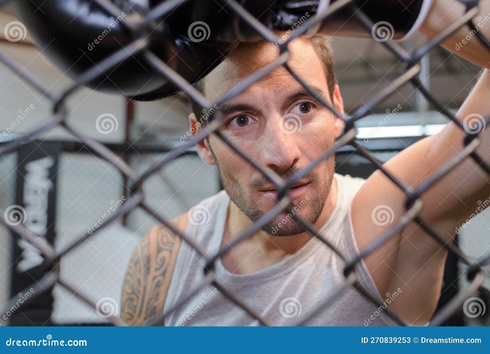 Portrait Male Serious Boxers Face Stock Image - Image of sport ...