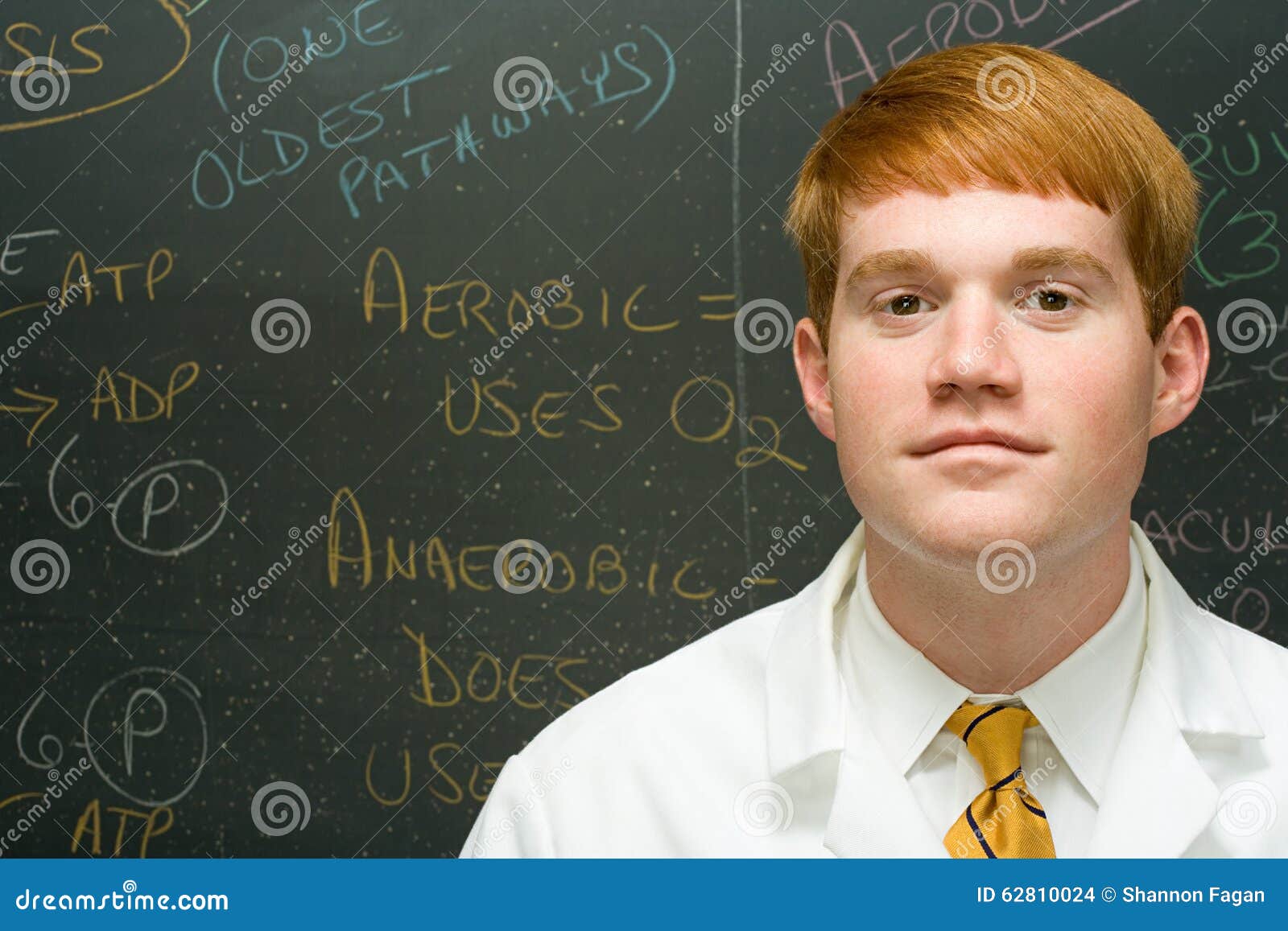 Portrait of a male student stock photo. Image of male - 62810024