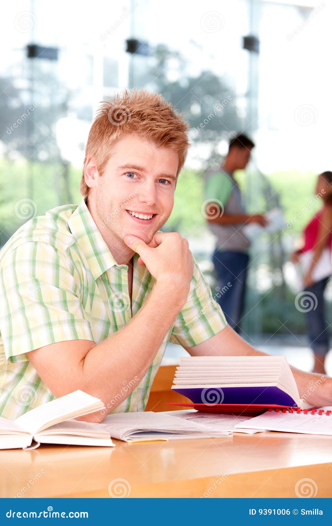 Portrait of male student stock photo. Image of adolescence - 9391006