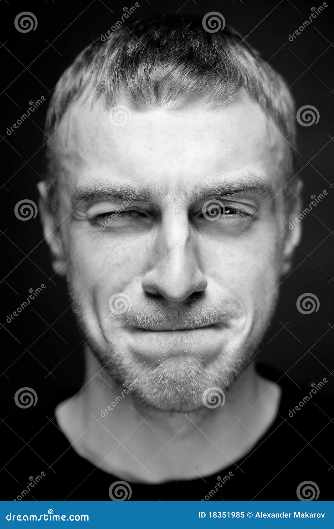 Portrait of a Man. stock image. Image of human, black - 18351985