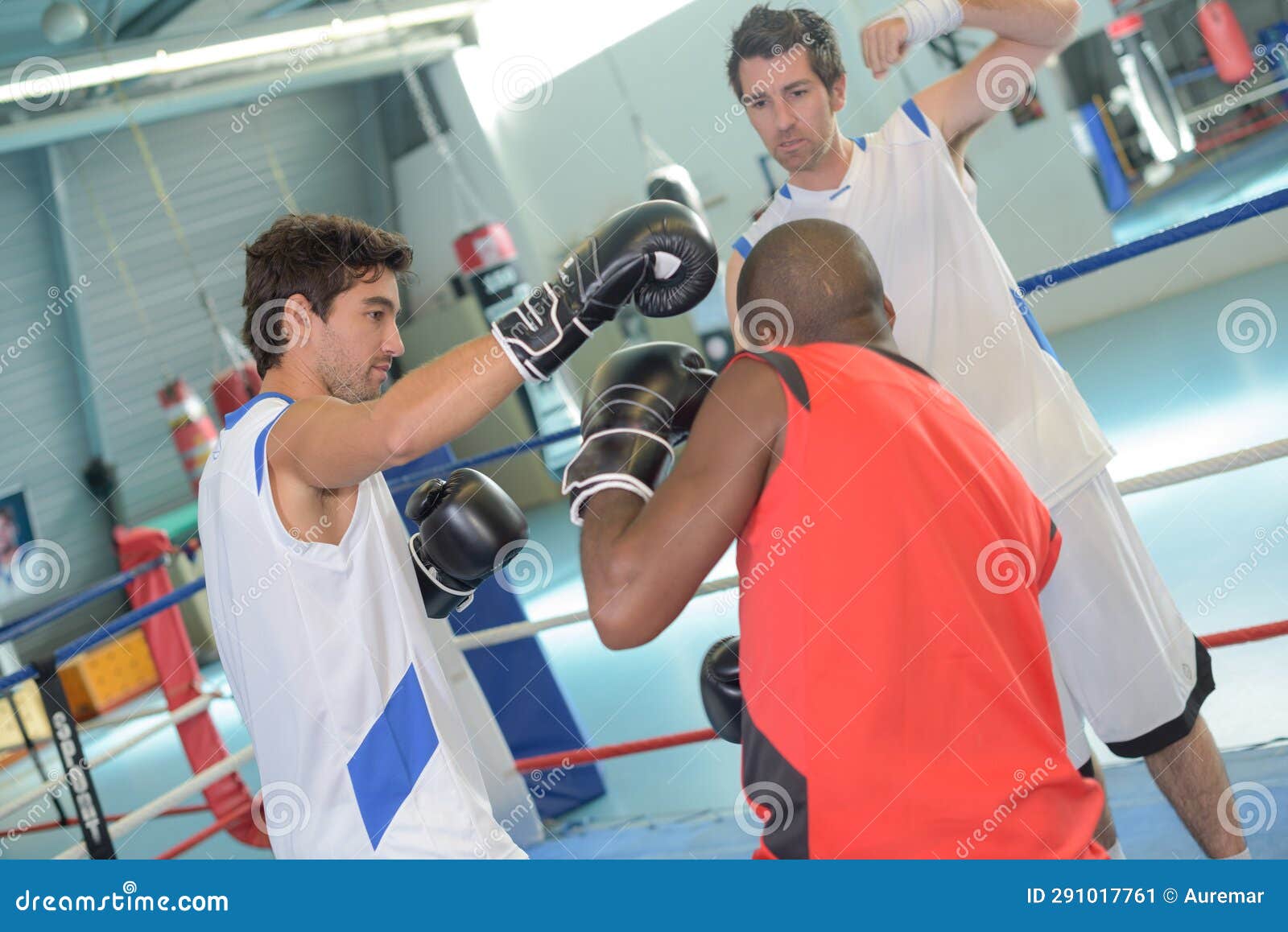 Portrait Man Avoiding Punch Stock Image - Image of referee, boxing ...