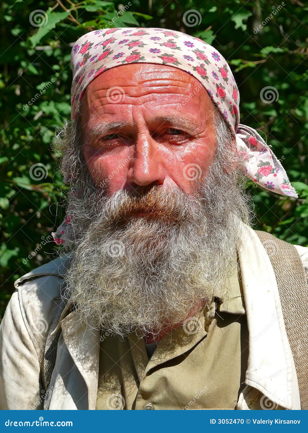 Portrait of Man with Beard 9 Stock Photo - Image of close, father: 3052470