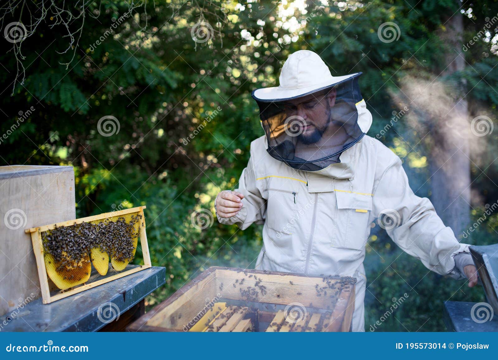 Portrait of Man Beekeeper Working in Apiary. Stock Photo - Image of ...