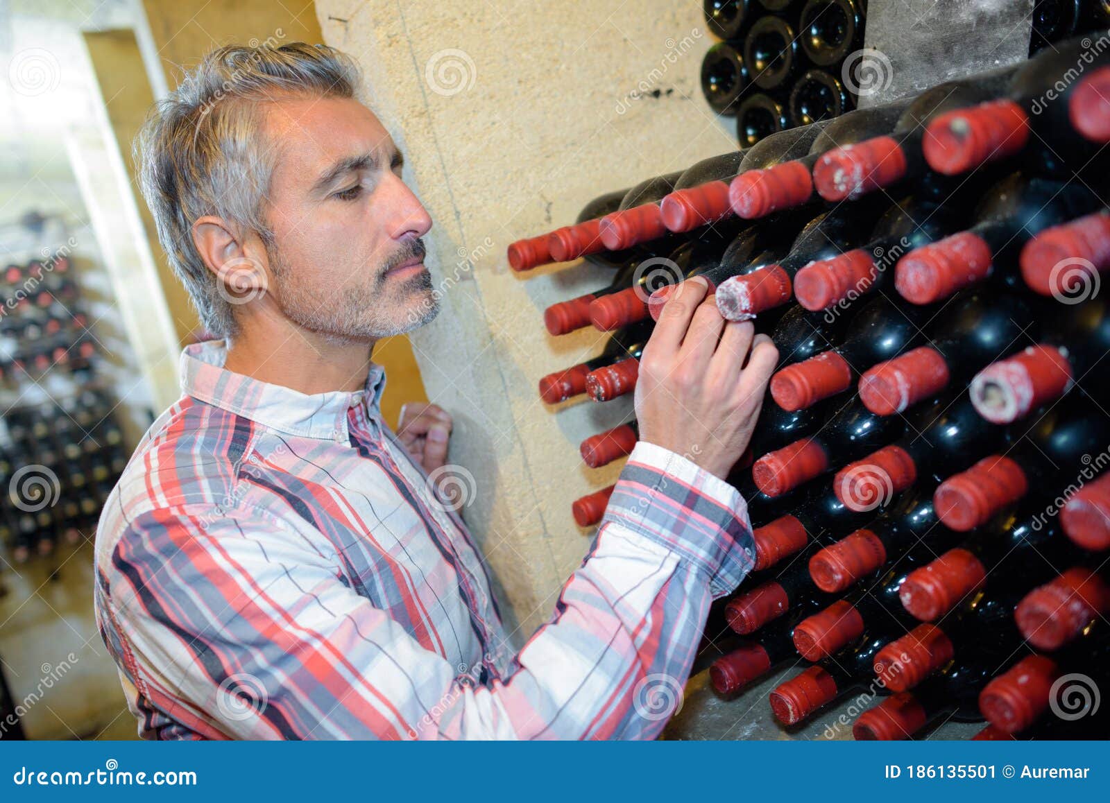 Portrait man in cellar stock image. Image of aged, bottle - 186135501