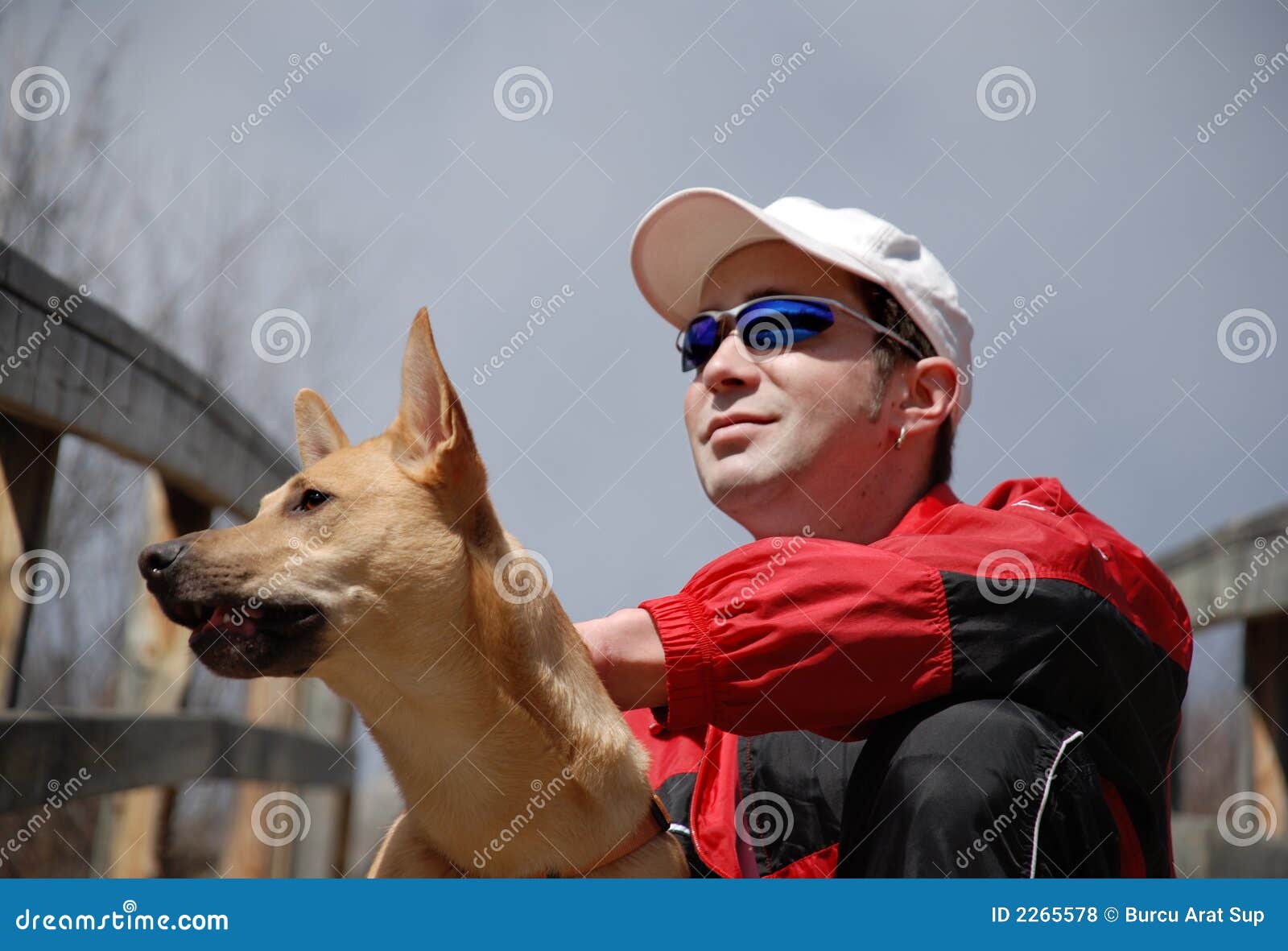 Portrait of man and dog stock photo. Image of grass, healthy - 2265578
