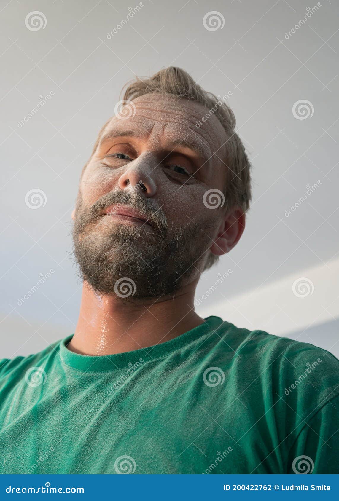 Portrait of Man with Dust on a Face Stock Photo - Image of contractor ...