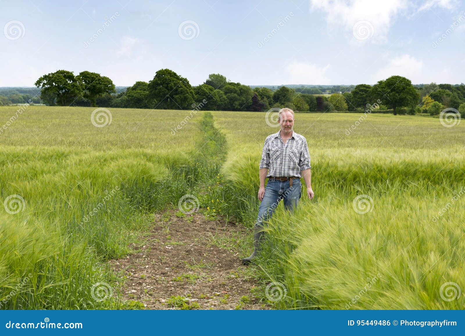 Man by a Huge Green Farm Field Stock Photo - Image of plant, meadow ...