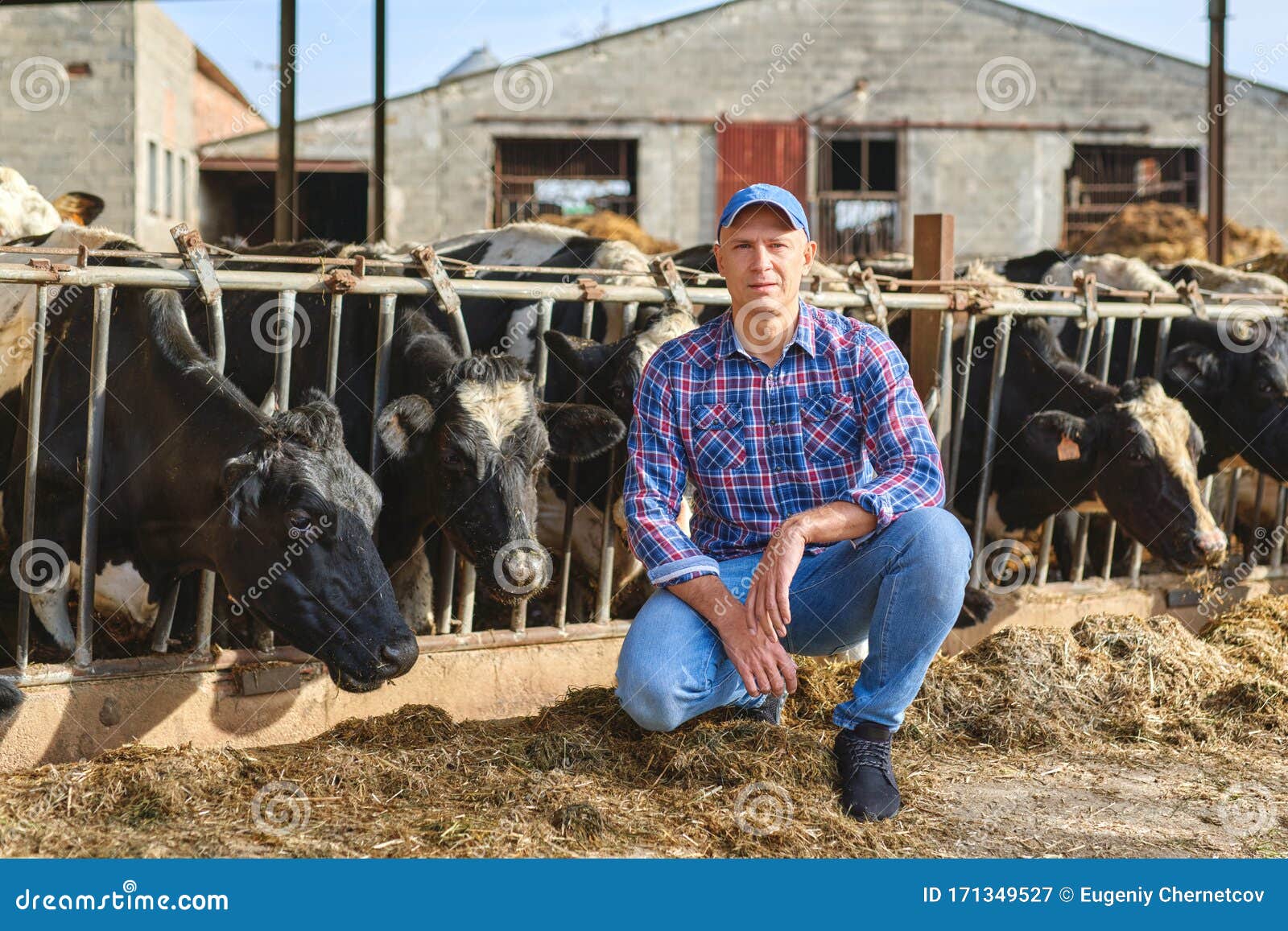 Portrait of a Man on Livestock Ranches. Stock Image - Image of labor ...