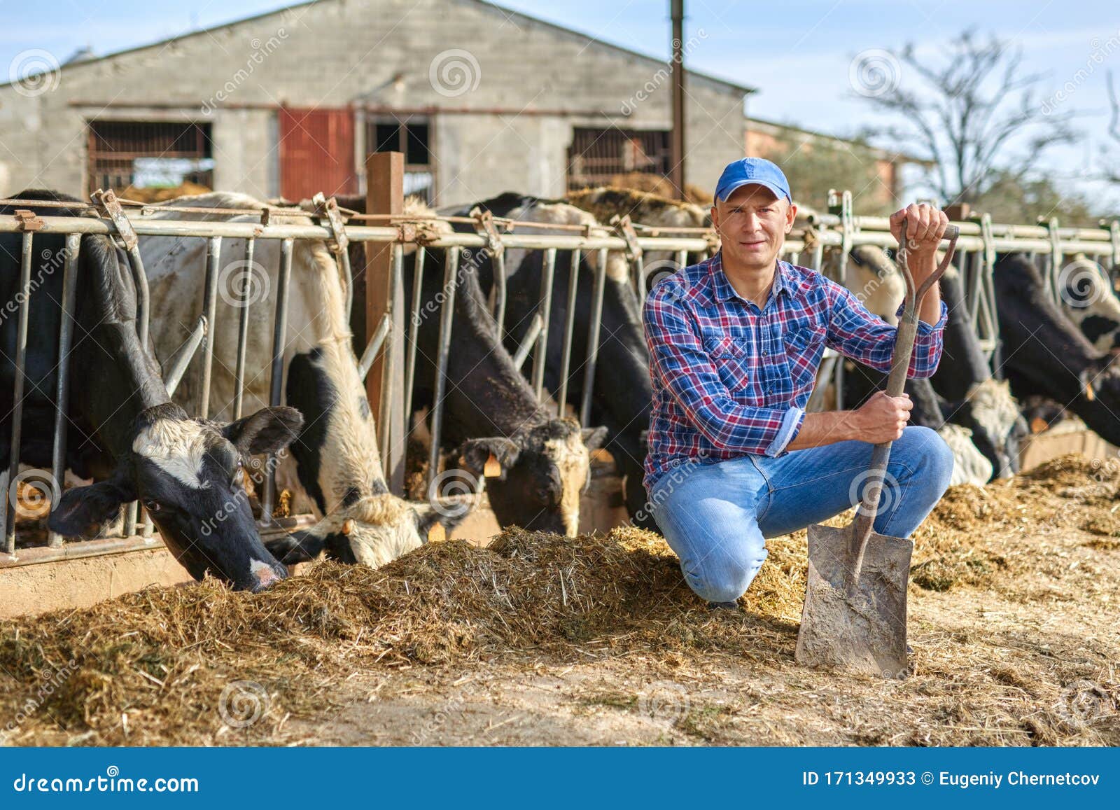 Portrait of a Man on Livestock Ranches. Stock Image - Image of farmer ...