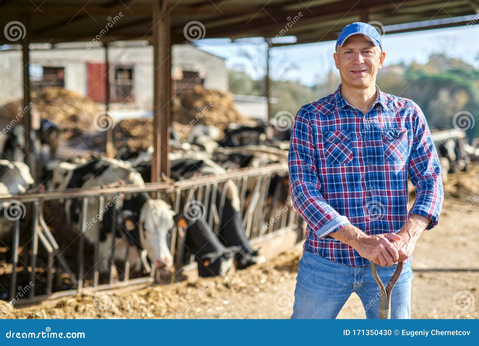 Portrait of a Man on Livestock Ranches. Stock Photo - Image of farmland ...