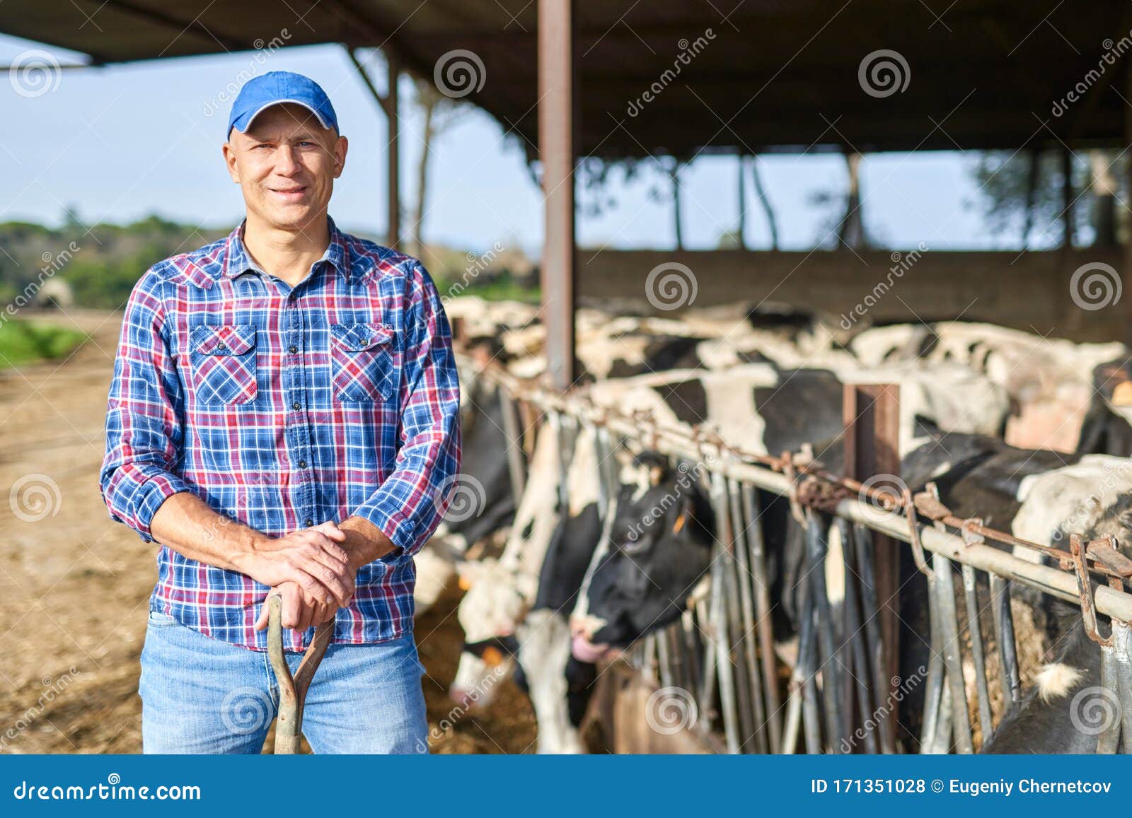 Portrait of a Man on Livestock Ranches. Stock Photo - Image of ...