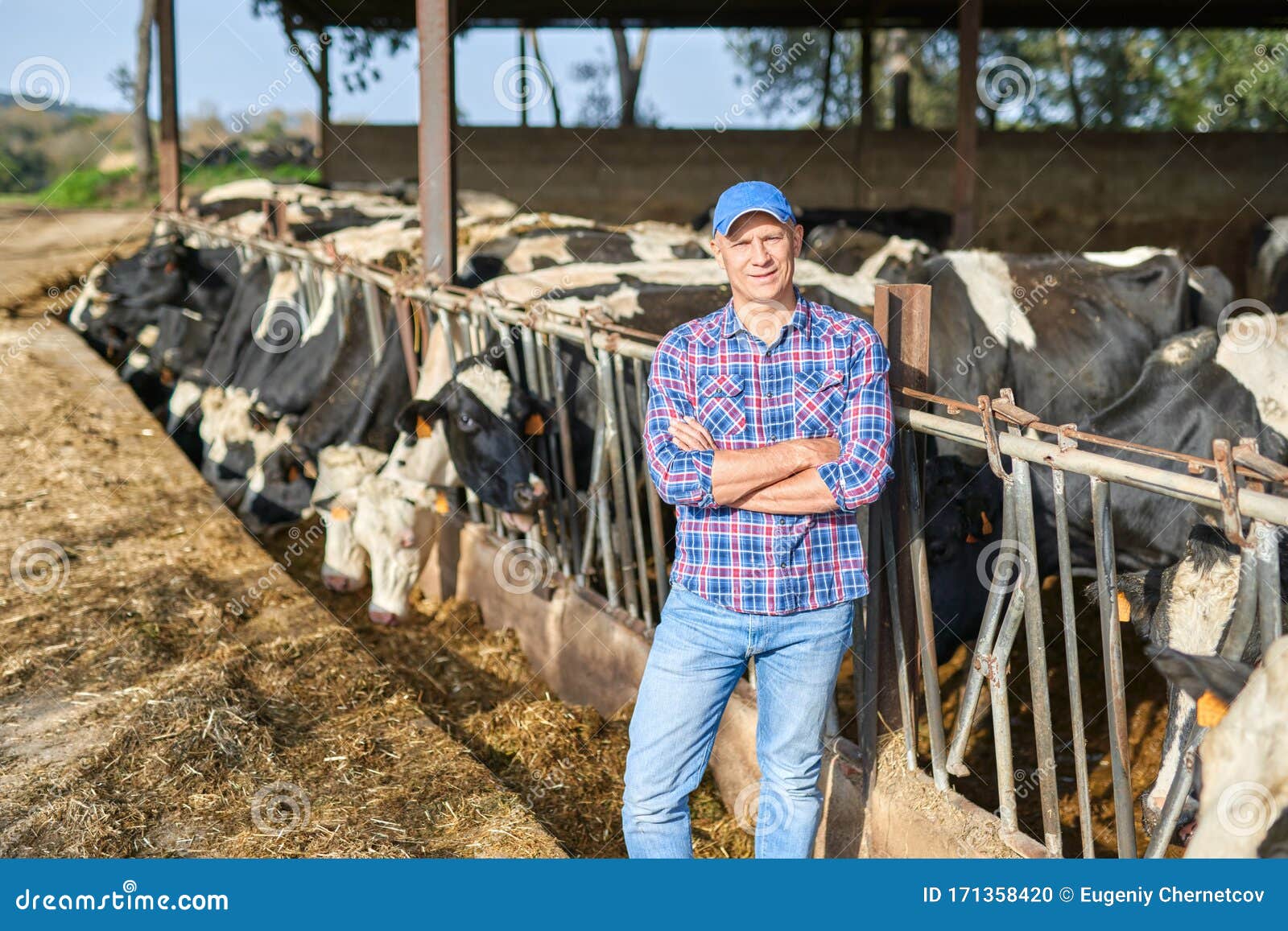 Portrait of a Man on Livestock Ranches. Stock Photo - Image of ...