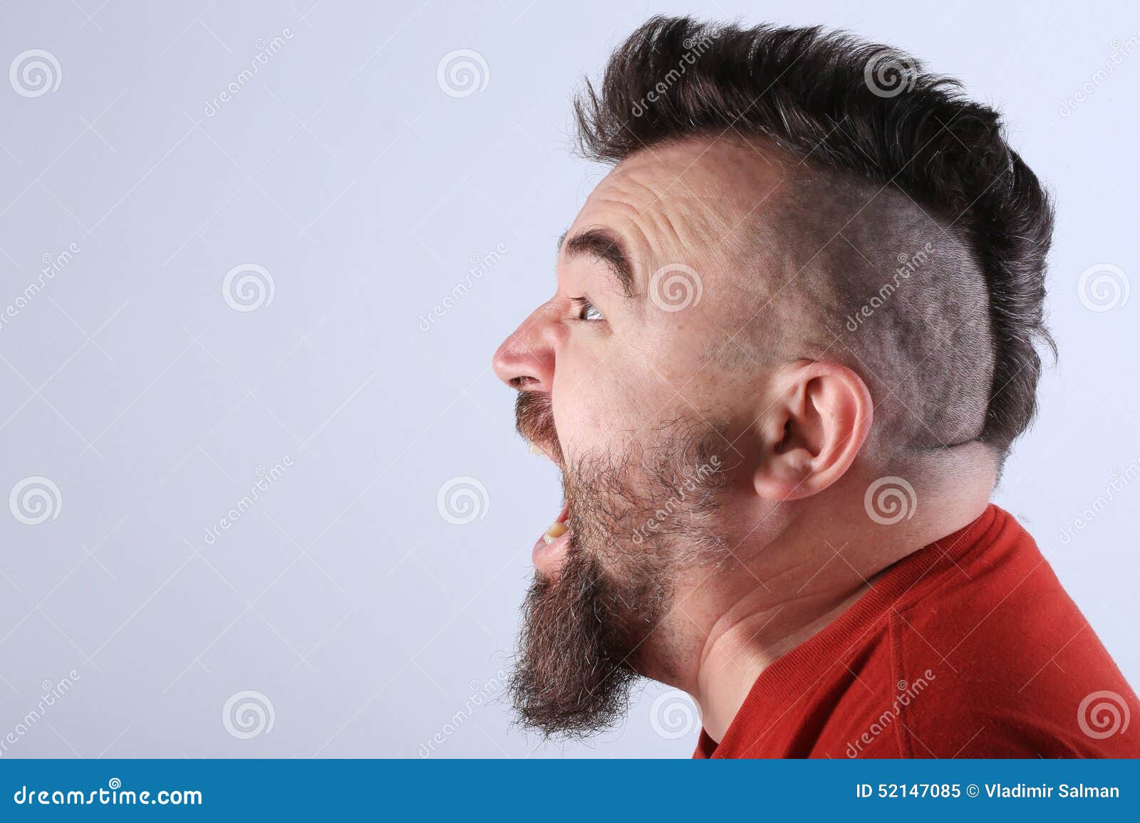 Portrait of a Man with a Mohawk Stock Image - Image of portrait, angry ...