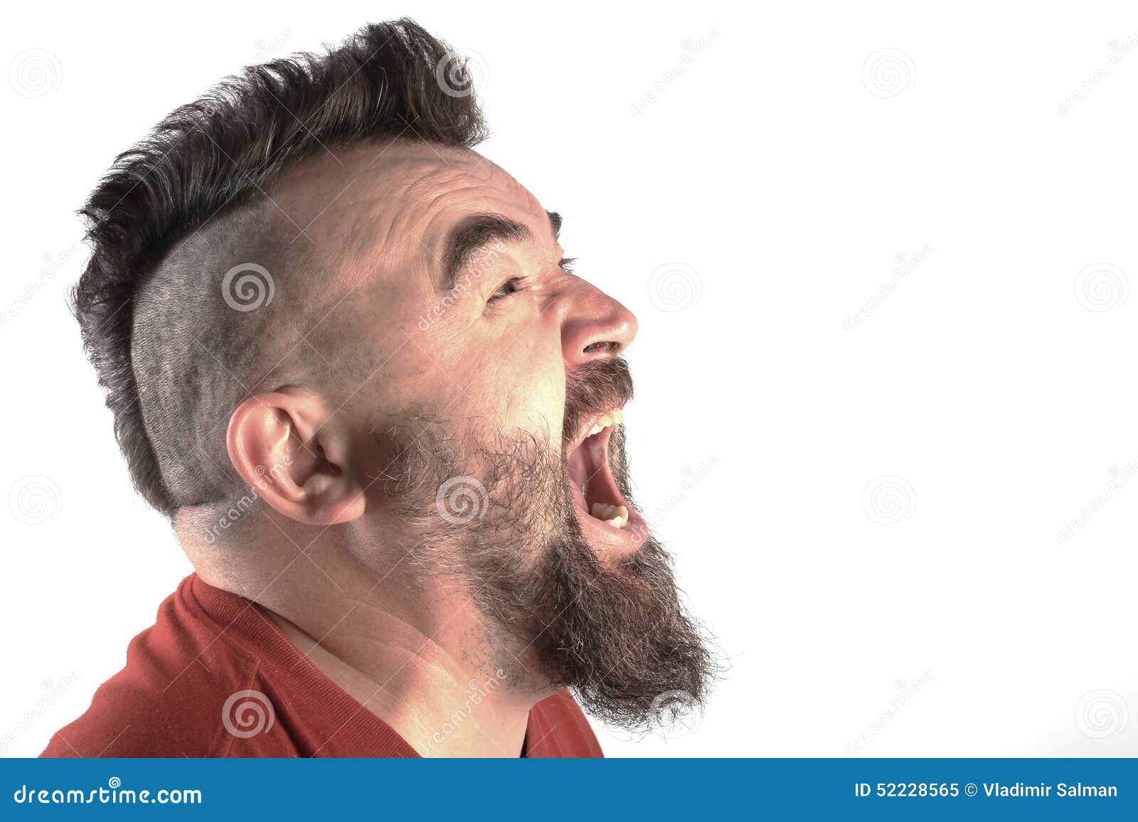 Portrait of a Man with a Mohawk Stock Image - Image of black, hatred ...