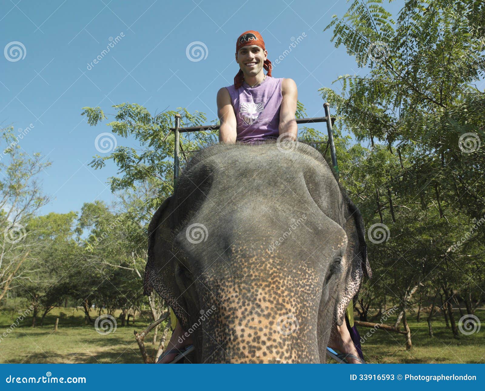 Portrait of Man Riding on Elephant Stock Image - Image of casual, adult ...