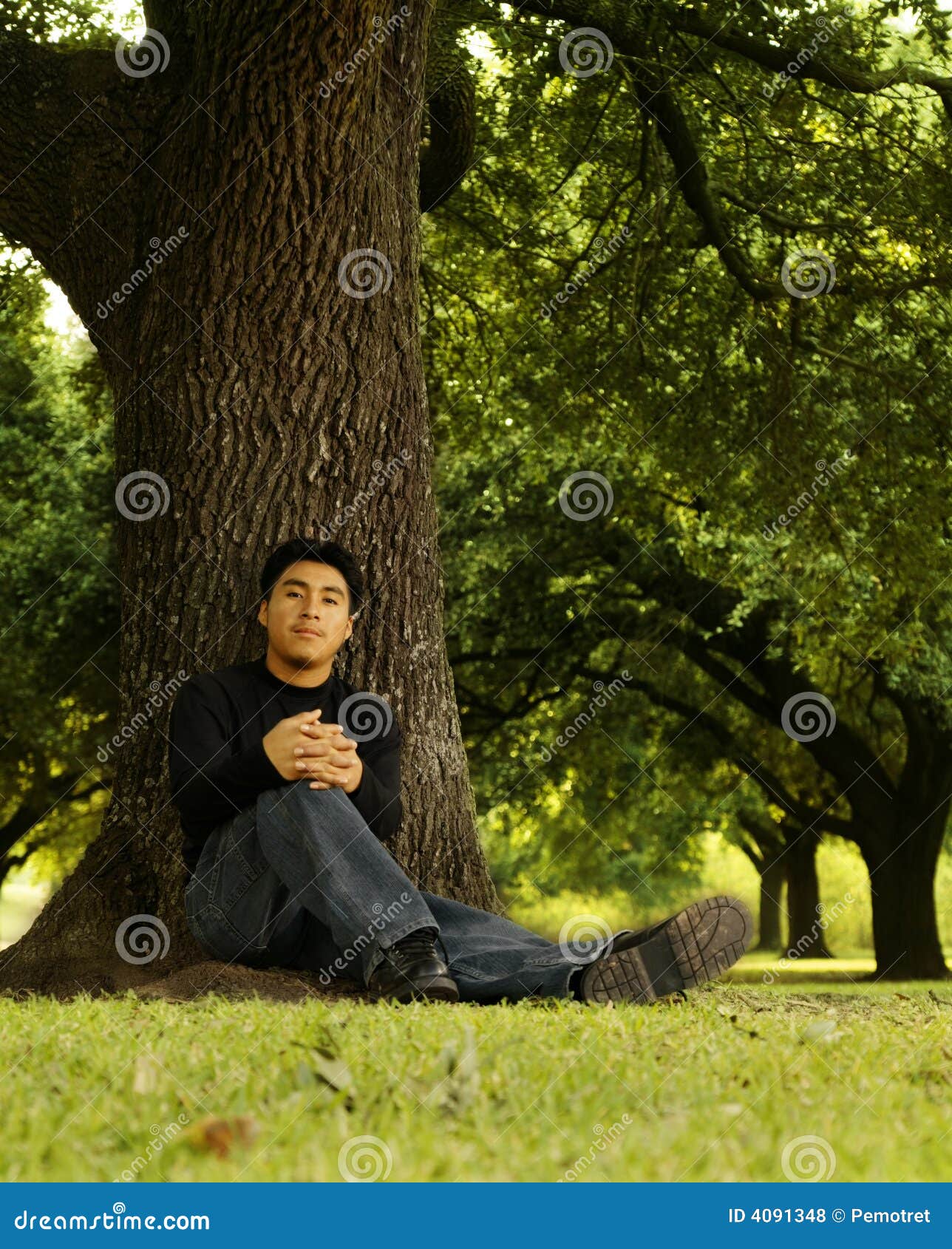 Portrait of Man Sitting by Tree 2 Stock Photo - Image of green, nature ...