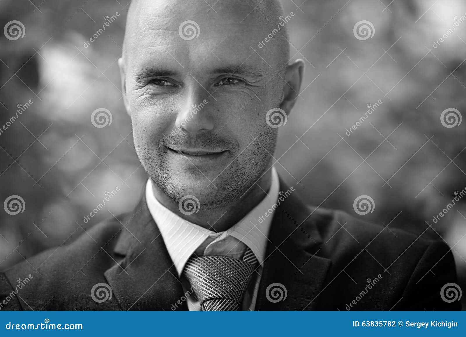Portrait of a man in suit stock photo. Image of caucasian - 63835782