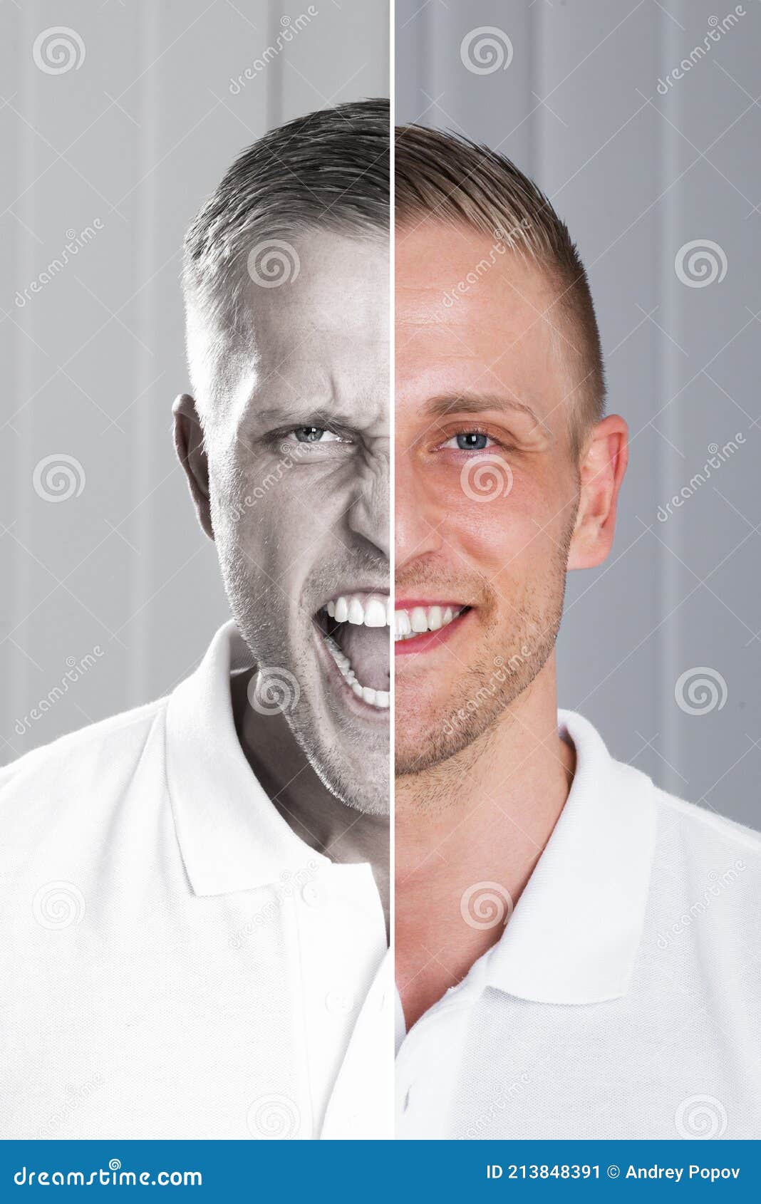 Two Side Face of Man stock image. Image of beard, compare - 213848391