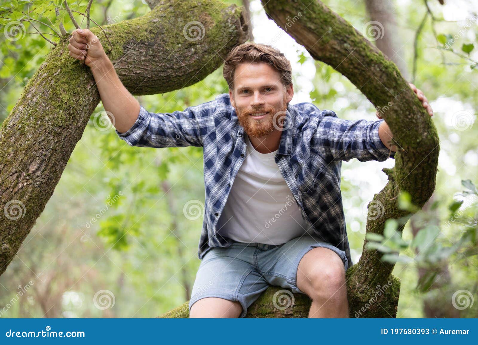 Portrait man on tree stock image. Image of autumn, lost - 197680393