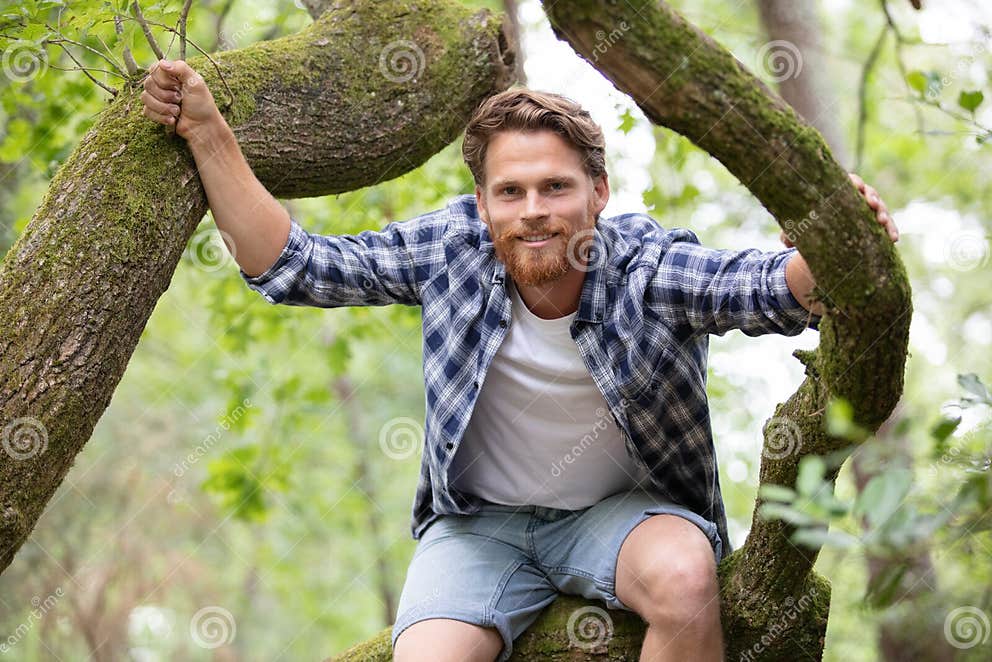 Portrait man on tree stock image. Image of autumn, lost - 197680393